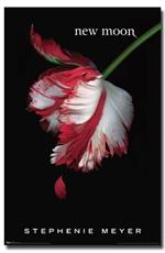 Twilight - New Moon Movie Poster 22.375" x 34"